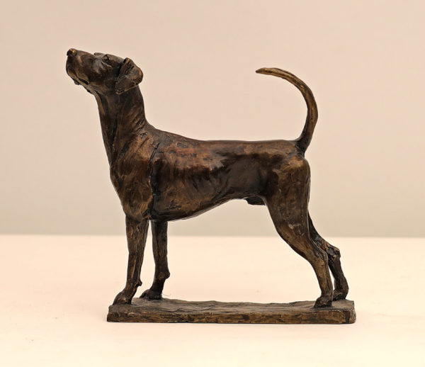 Deborah Burt - Artist At Norton Way Gallery