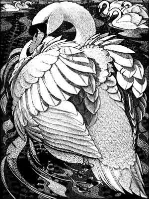 Colin See-Paynton - Norton Way Gallery