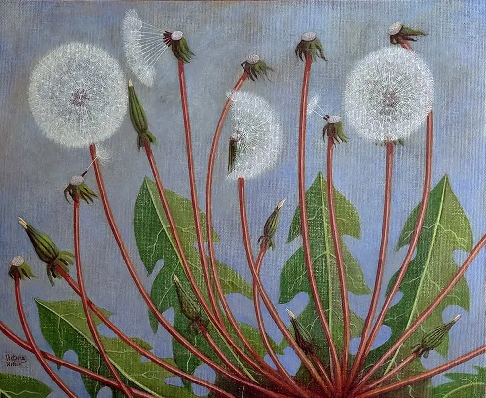 Victoria Webster - Norton Way Gallery
