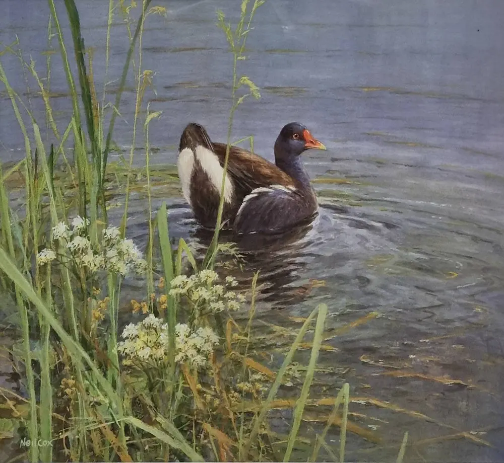 Neil Cox - Artist - Norton Way Gallery