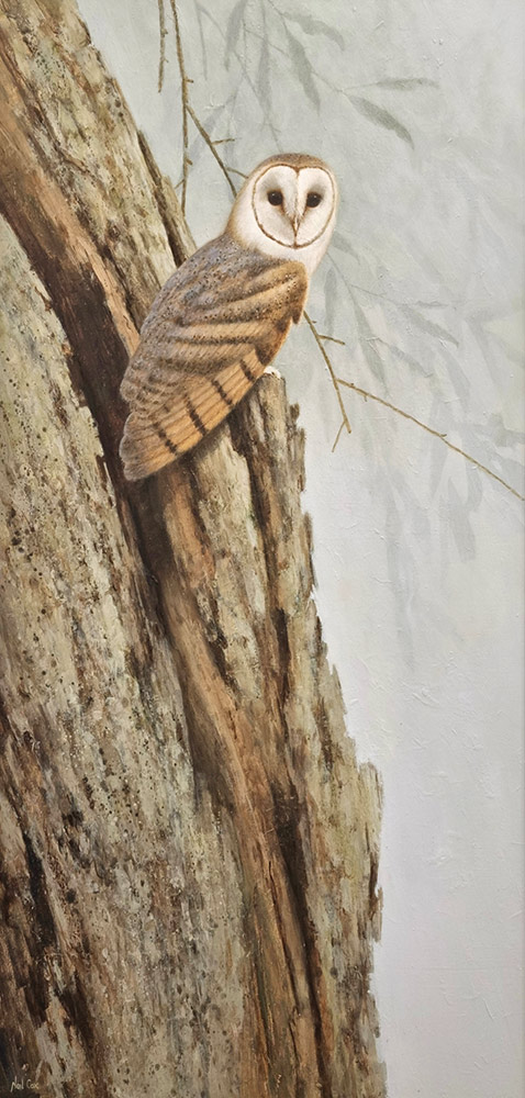 Neil Cox - Artist - Norton Way Gallery