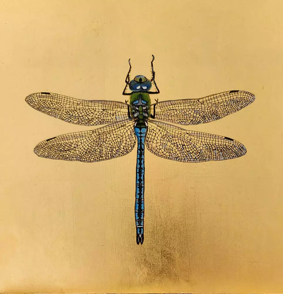 Clive Meredith - Norton Way Gallery