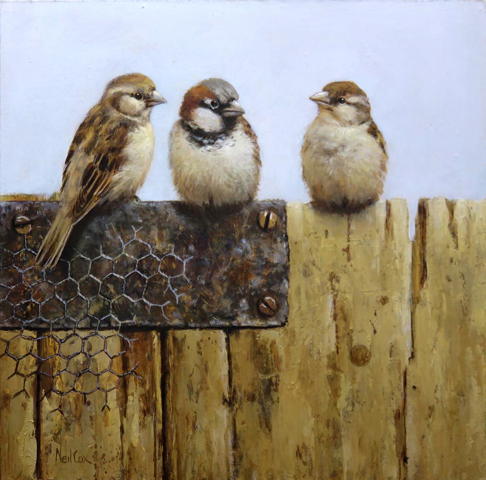 Gate Keepers, House Sparrows By Neil Cox At Norton Way Gallery