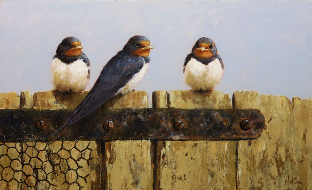 Just Arrived, Swallows By Neil Cox At Norton Way Gallery