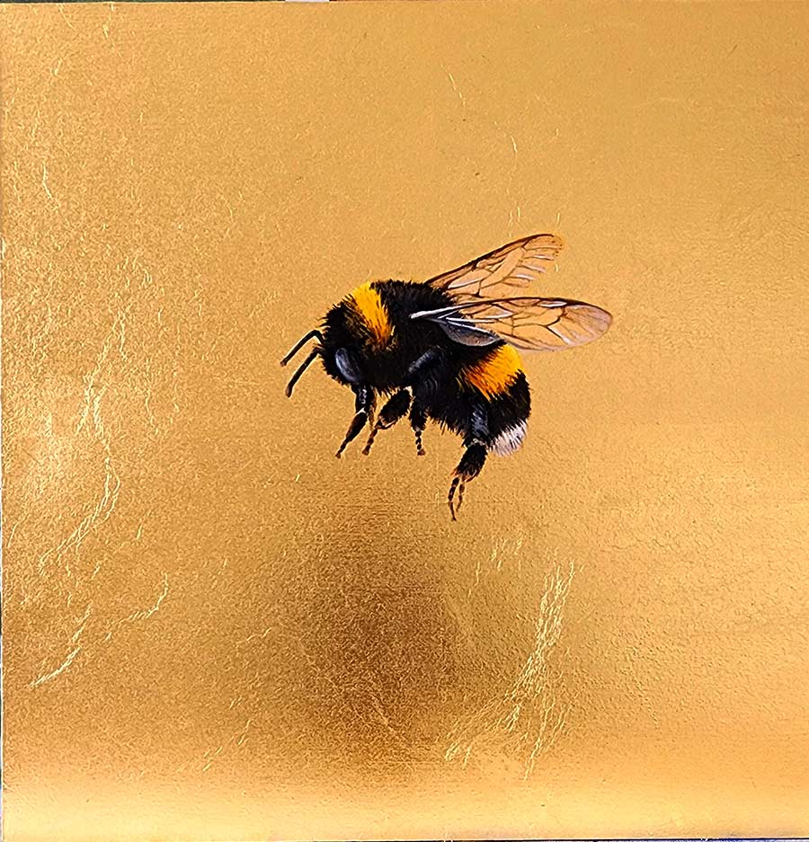 Bumble Bee By Clive Meredith At Norton Way Gallery
