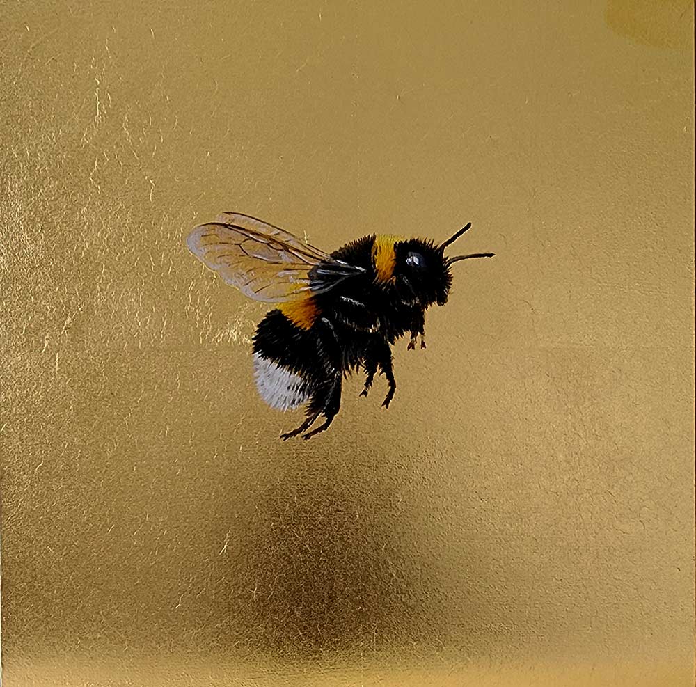 Bumble Bee II By Clive Meredith At Norton Way Gallery