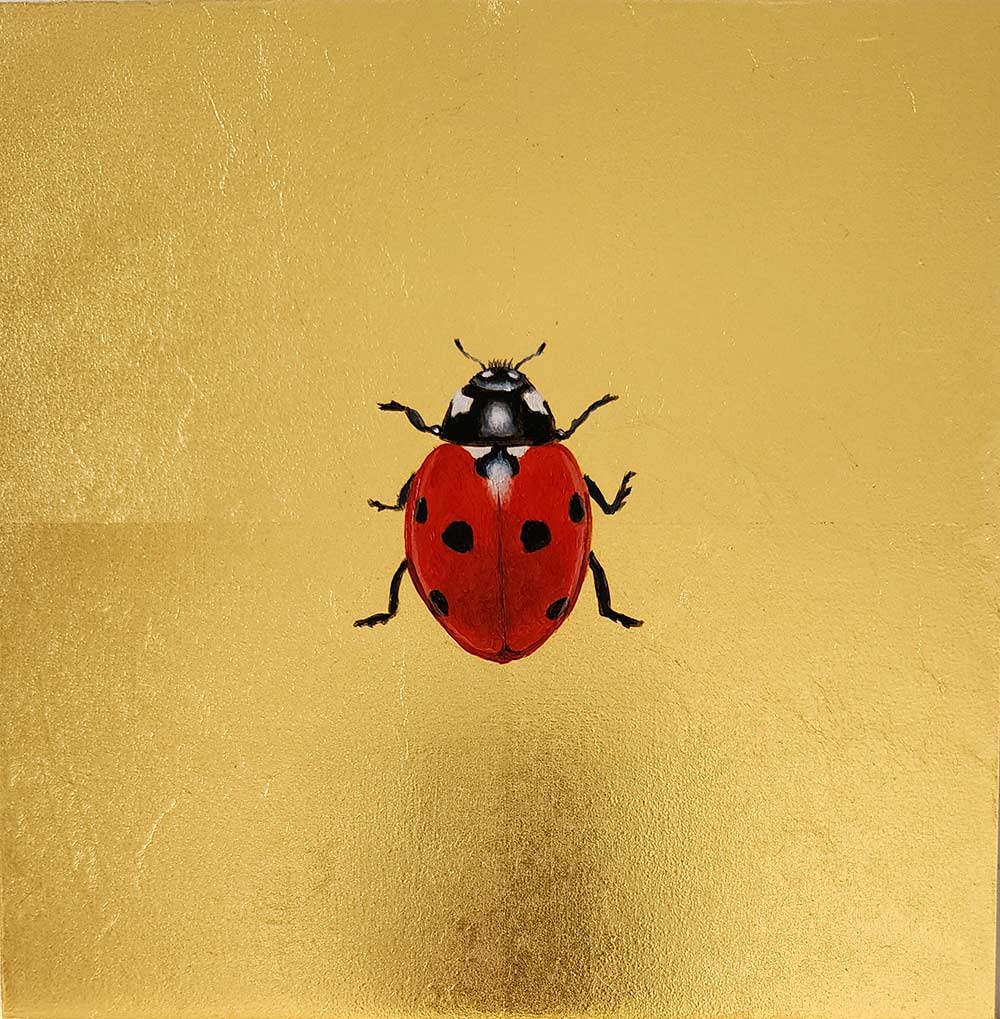 Seven Spot Ladybird By Clive Meredith At Norton Way Gallery