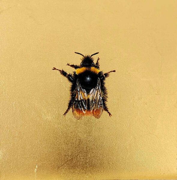 Early Bumble Bee By Clive Meredith At Norton Way Gallery