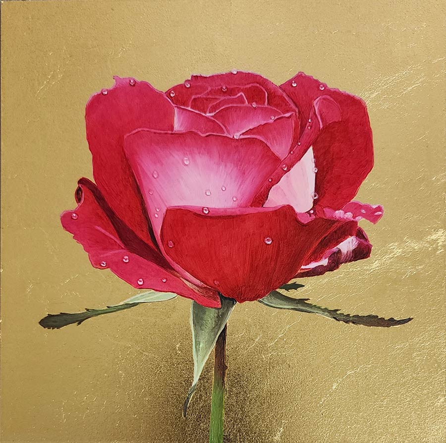 Osiria Rose 1 By Clive Meredith At Norton Way Gallery